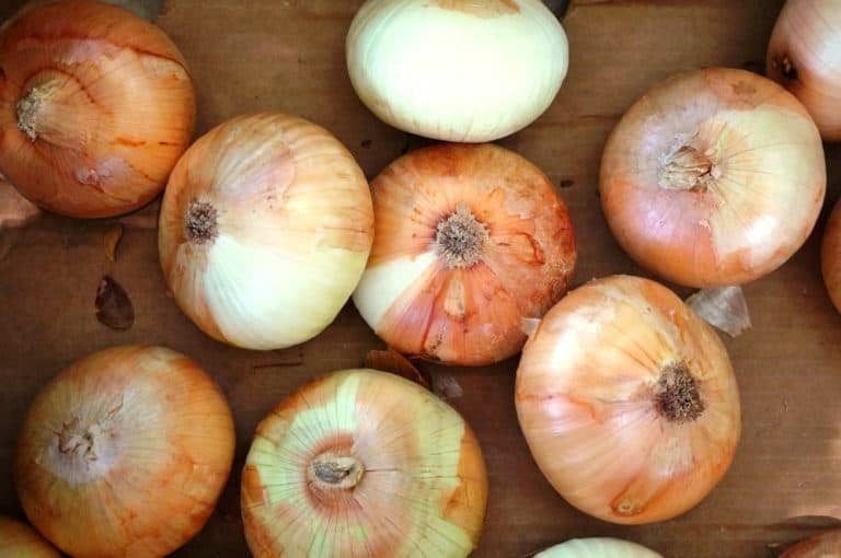16 Onion Varieties Every Cook Should Know About