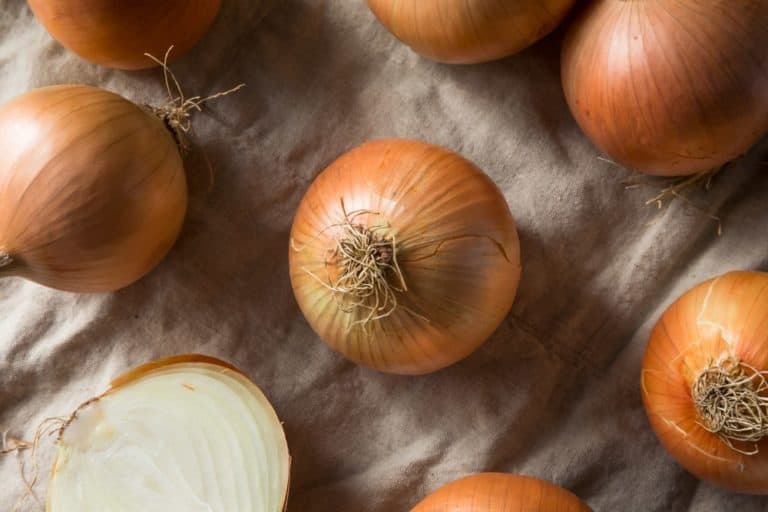 16 Onion Varieties Every Cook Should Know About