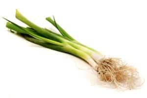 16 Onion Varieties Every Cook Should Know About