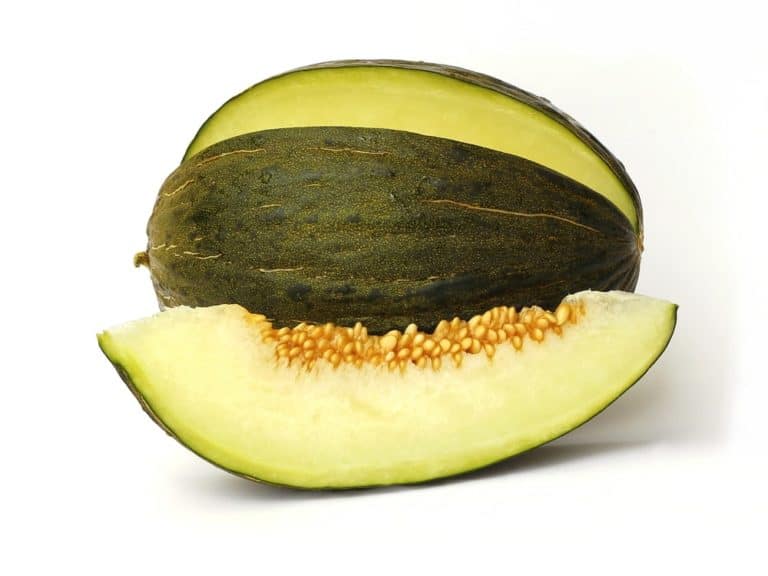 38 Different Types of Melons (Yup, That Many!)