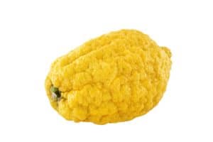 18 Different Types of Citrus Fruits