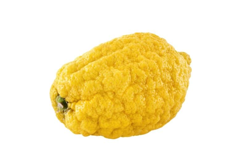 18 Different Types of Citrus Fruits