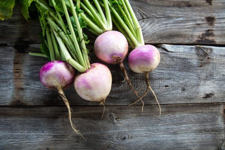 14 Different Types of Root Vegetables