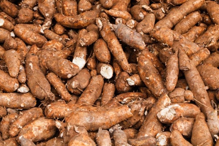 14 Different Types of Root Vegetables