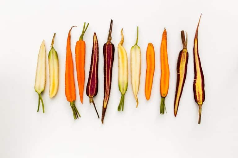 24 Different Types of Carrots (HINT: they're not just orange)