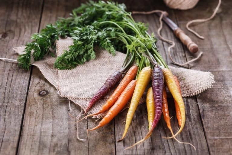 24 Different Types of Carrots (HINT: they're not just orange)