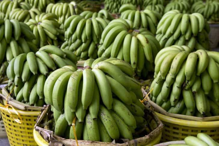 What are the Different Banana Options?