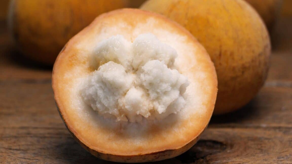 What is Santol Fruit?