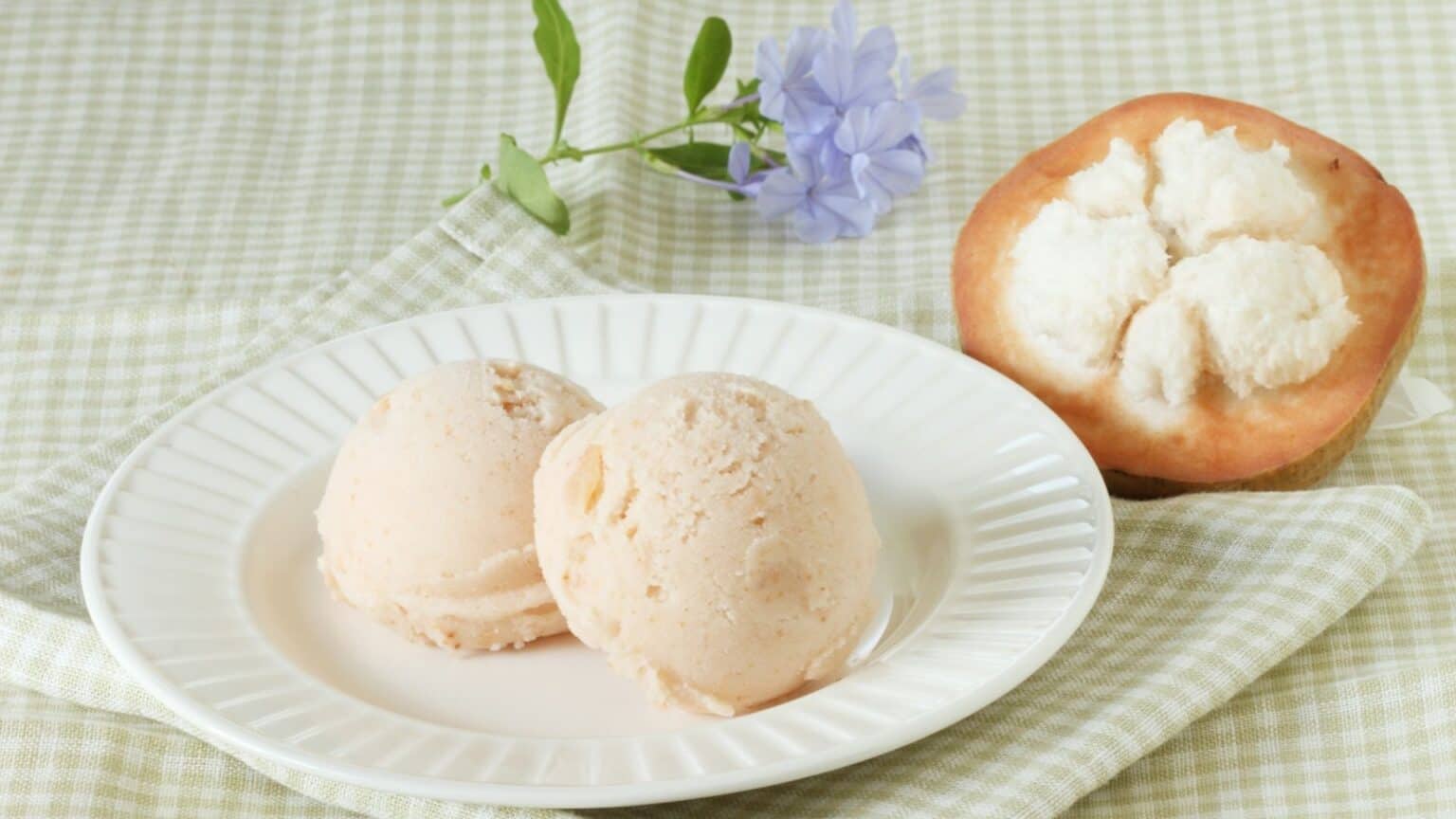 What is Santol Fruit?
