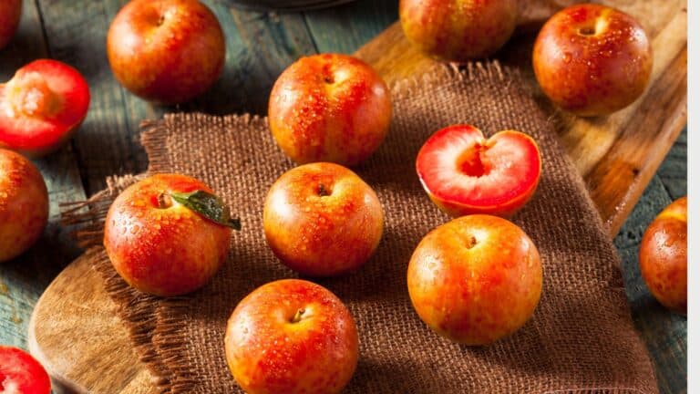 What is a Pluot Fruit?