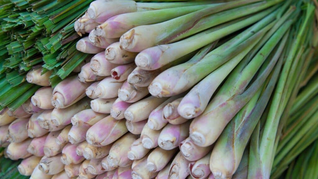 How to Mince Lemongrass for the Most Aromatic Dishes