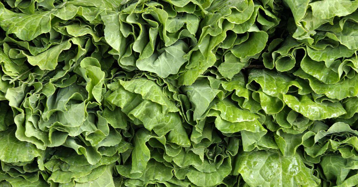 How To Make Collard Greens Taste Good