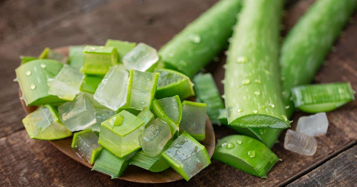 How to Extract Aloe from Plant