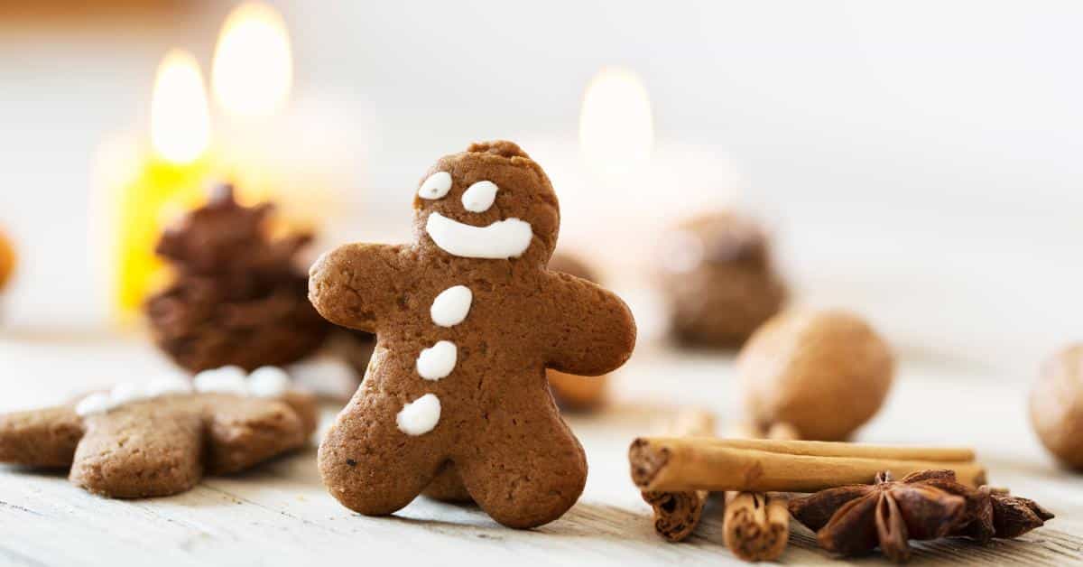 What is in Gingerbread Spice?