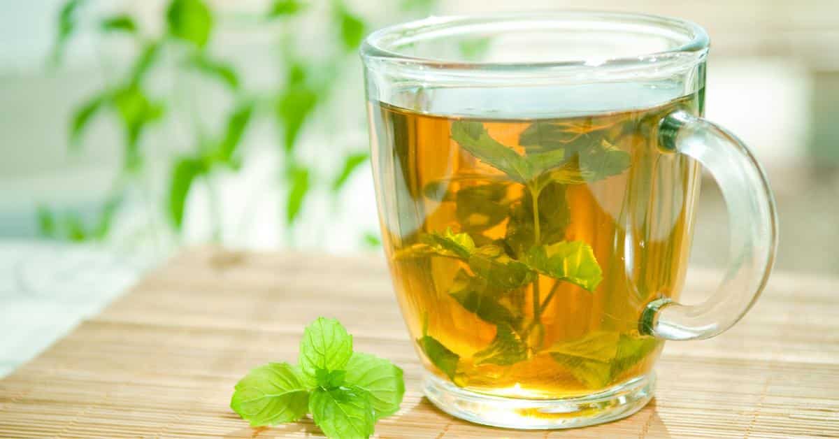 How to Make Spearmint Tea Taste Better