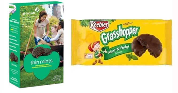 Keebler Grasshopper Cookies vs Thin Mints