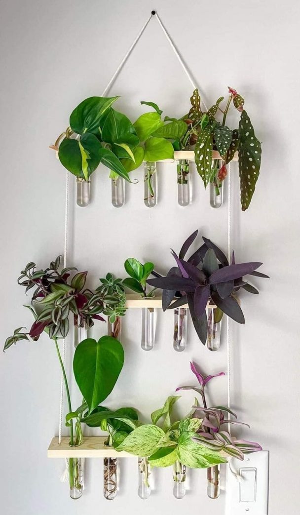 Breathe Life into Your Home with These 30 Plant Display Ideas