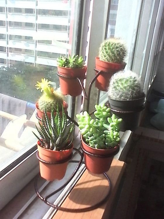 Top 23 Attractive Window Sill Decor Ideas to Inspire You