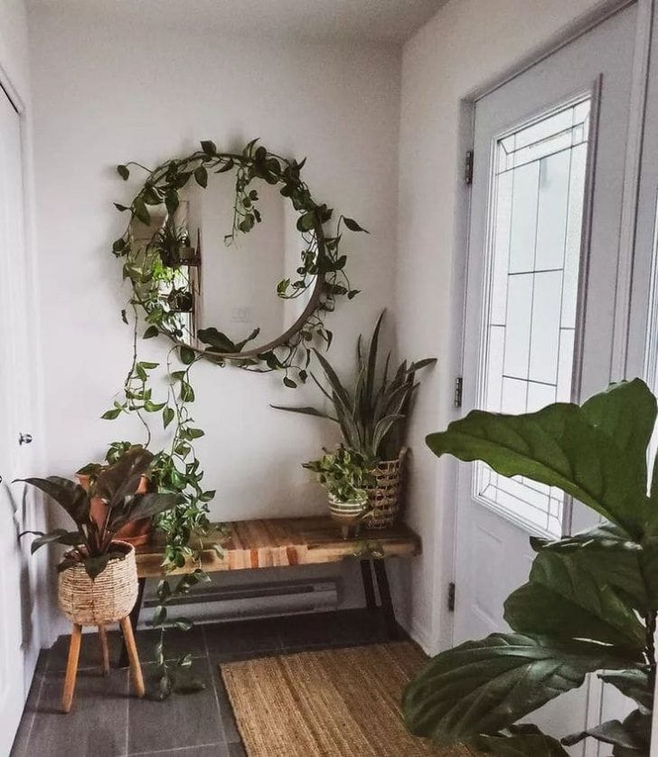 Breathe Life into Your Home with These 30 Plant Display Ideas
