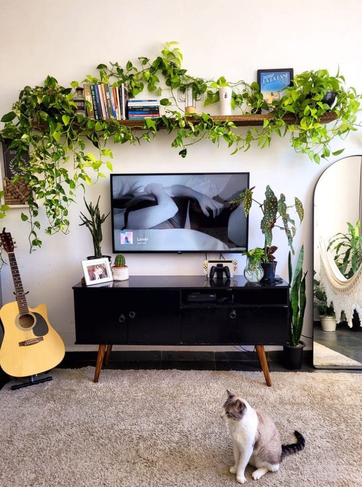 Breathe Life into Your Home with These 30 Plant Display Ideas