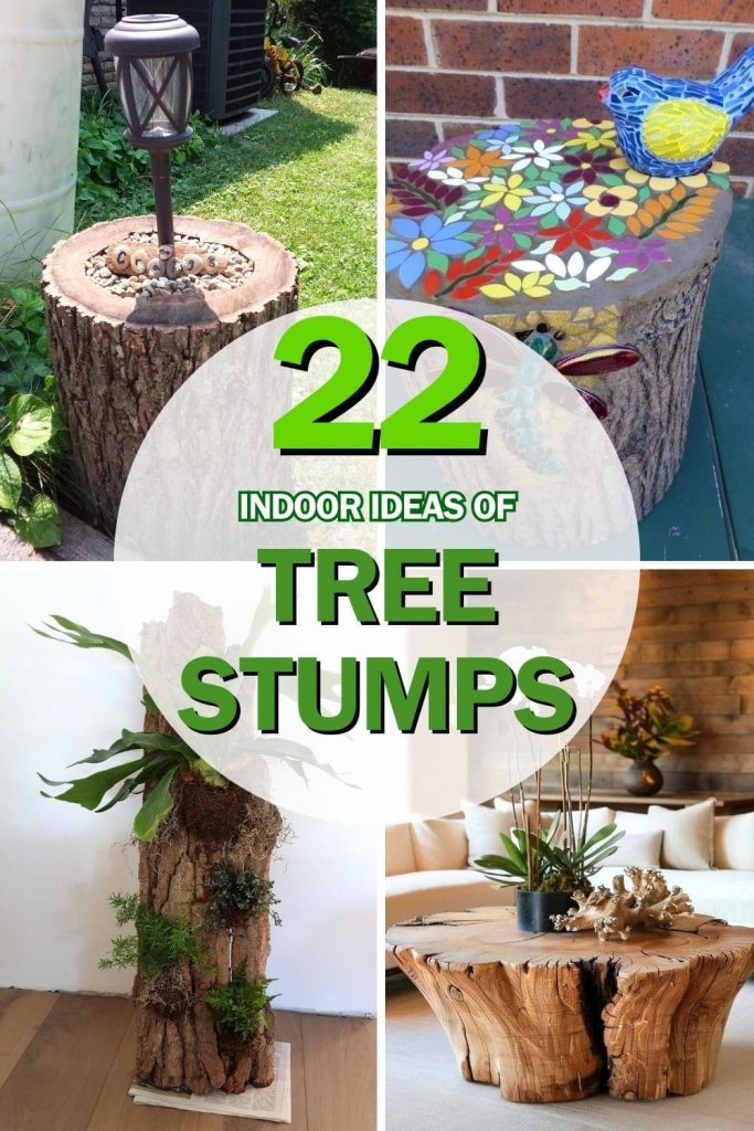 22 Creative and Stunning Tree Stump Ideas to Transform Your Indoor Decor