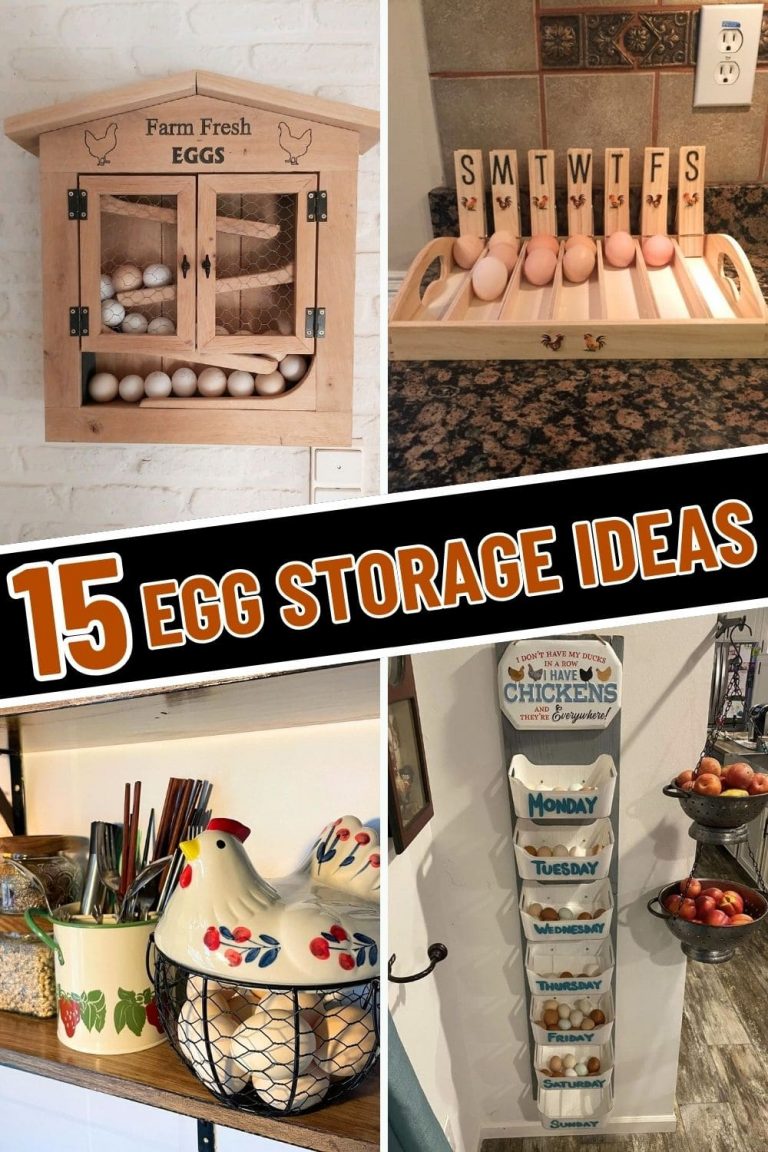 15 Smart Egg Holder Solutions for a Neat and Versatile Kitchen